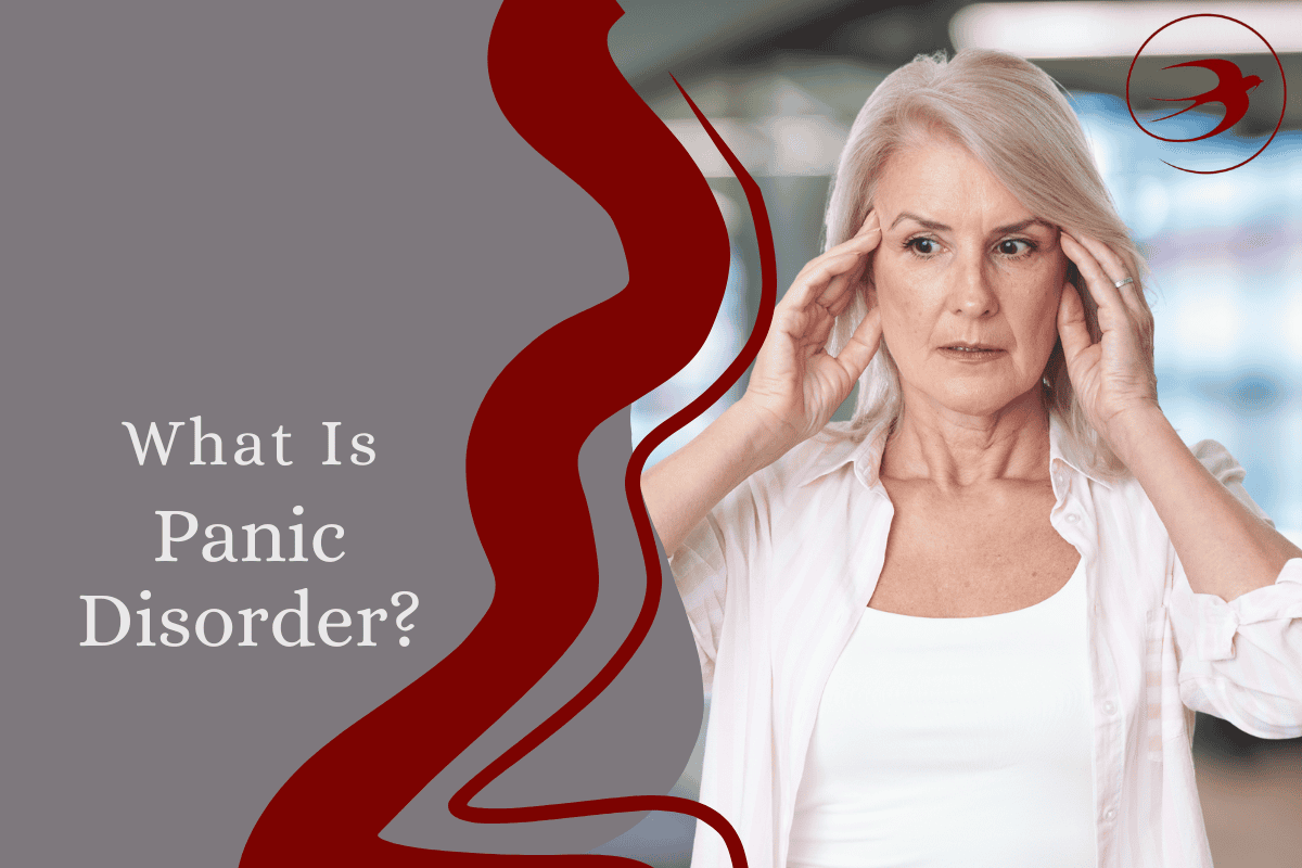 What is Panic Disorder: Causes, Symptoms, and Mental Health Impact
